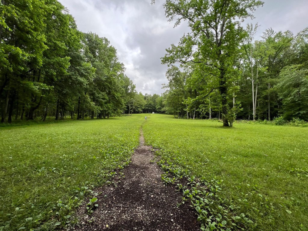 About Derek Maxfield – Derek D. Maxfield